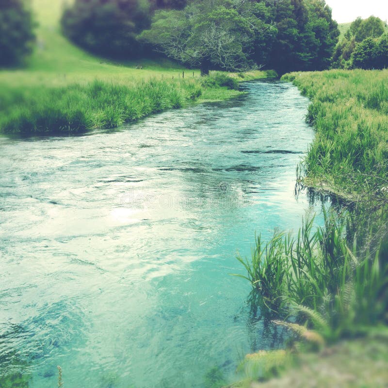 Spring water stock image. Image of creek, pure, clean - 72861433