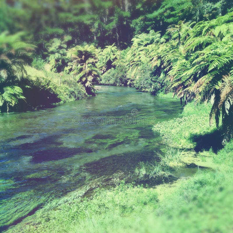 Spring water stock image. Image of flowing, stream, freshness - 57463873