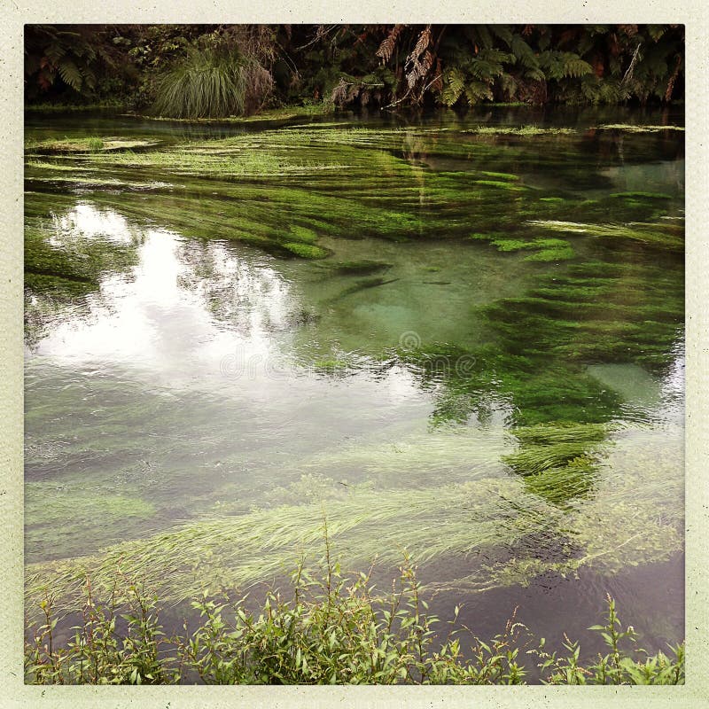Spring water stock photo. Image of tranquil, purity, outdoor - 30829590