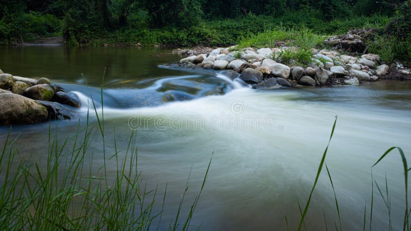 Spring Water River Stream Landscape on a Green Forest with Blurry Water ...