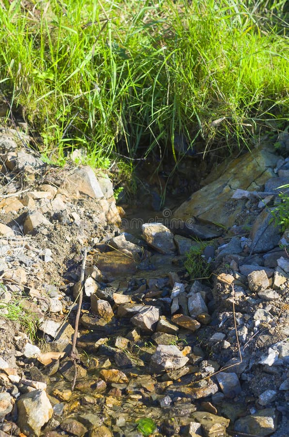 Spring water stock image. Image of river, moss, creek - 80079639