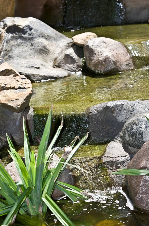 Spring Water Running on Stone. Stock Image - Image of decor, freshness ...