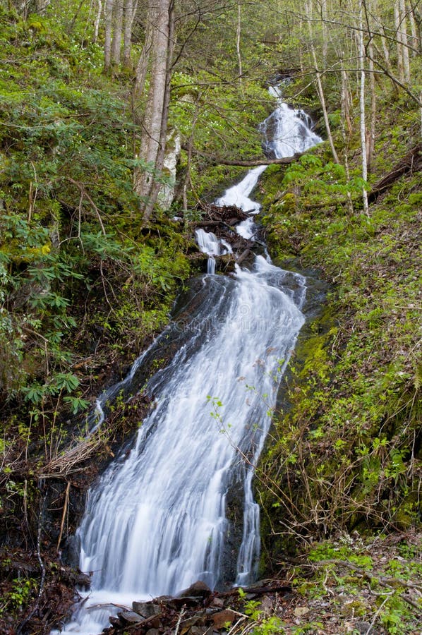 Spring In Tremont At Great Smoky Mountains National Park, TN USA Stock ...