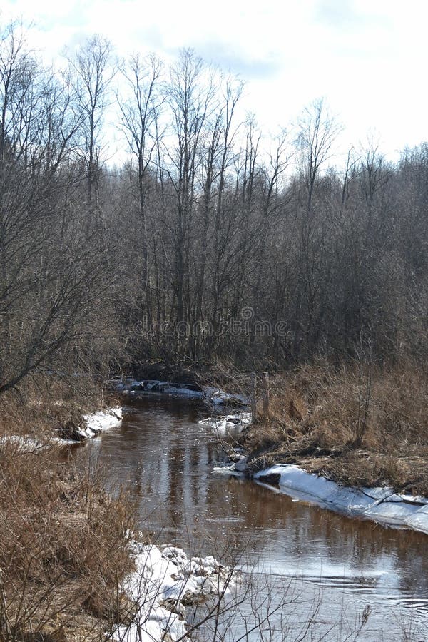 Spring Water Stream, Spring Forest, Bright March Sun Stock Image ...