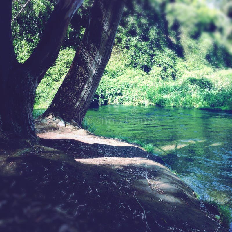 Spring water stock image. Image of river, natural, water - 39415139