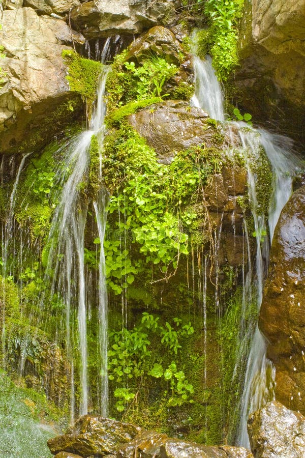 Spring waterfall stock image. Image of vibrant, foliage - 5034237