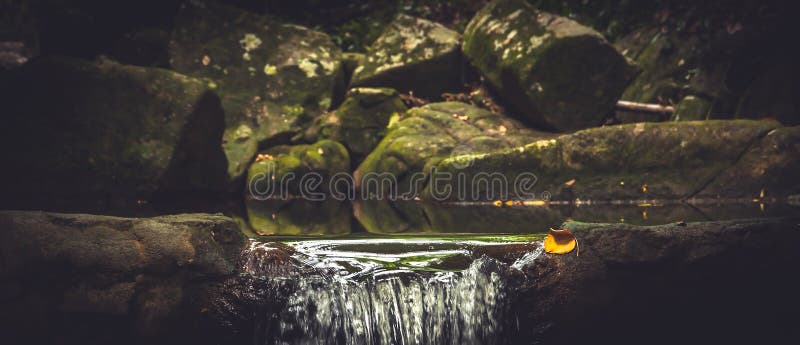 Spring Waterfall with Flowing Water in Natural Pound among Mossy Stones ...
