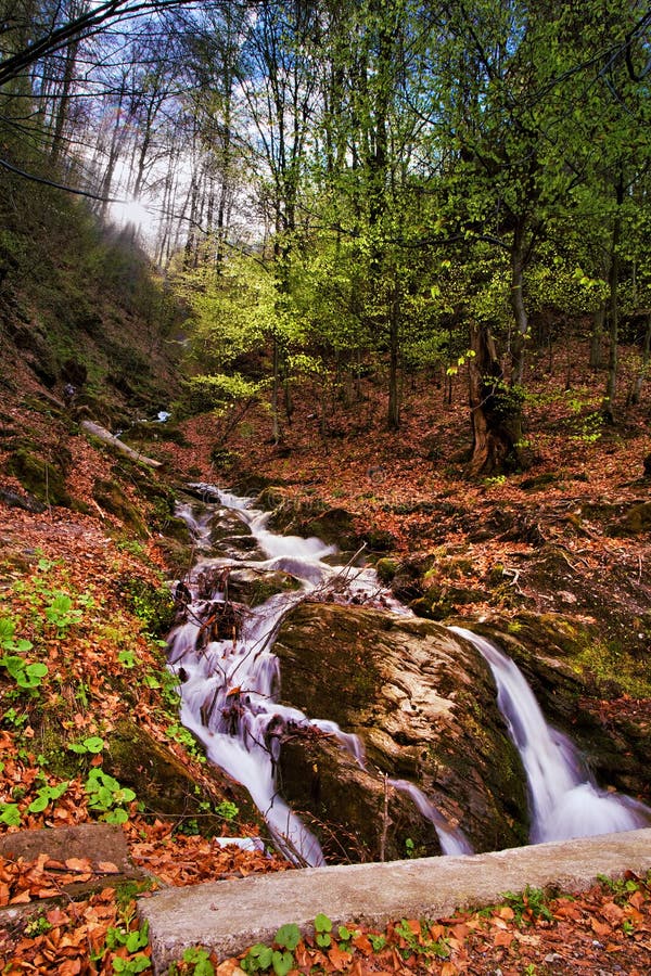Spring Waterfall and Forest Stream in Mountains Stock Image - Image of ...