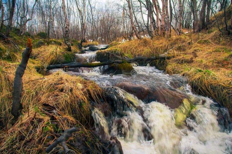 Spring waterfall stock image. Image of landscape, flow - 72099465
