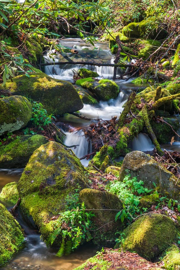 Spring Waterfall In The Brecon Beacons Stock Photo - Image of river ...