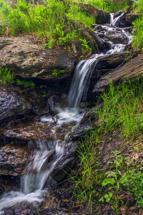 Spring Waterfall on a Stream Flowing Stock Image - Image of grass ...