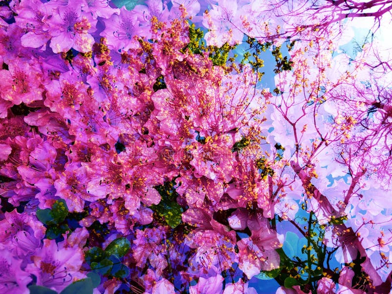 Spring Weather Isolated with Blue Sky - Illustration or Abstraction ...