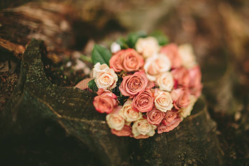 Spring Wedding Roses Bouquet Stock Image - Image of beautiful, beauty ...