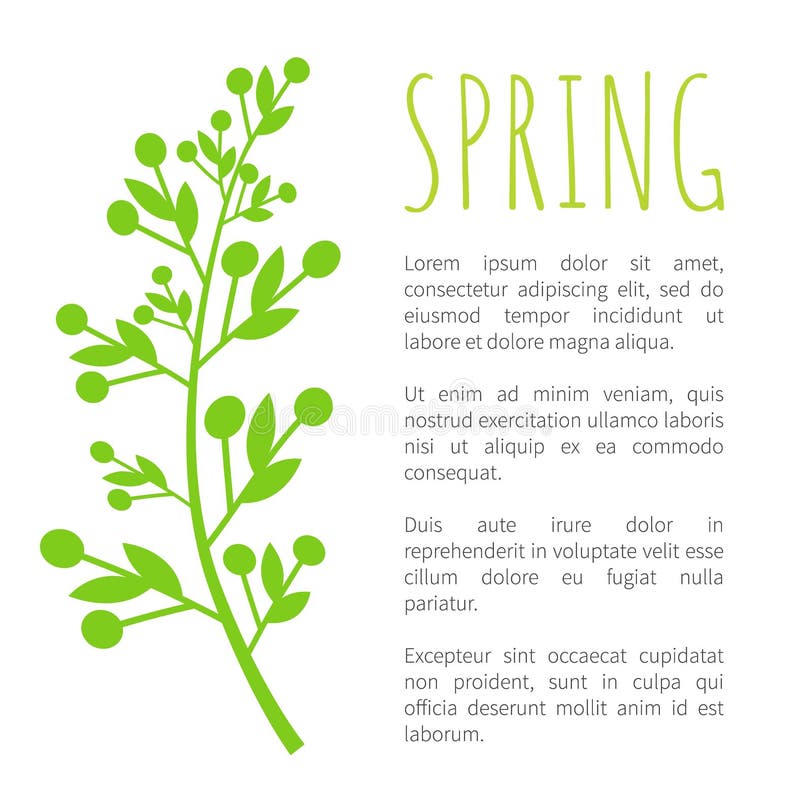 Spring and Weed Grass on Poster with Sample Text Stock Vector ...