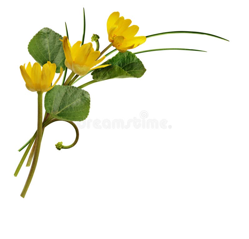 Spring Wild Flowers and a Frame Stock Image - Image of composition ...