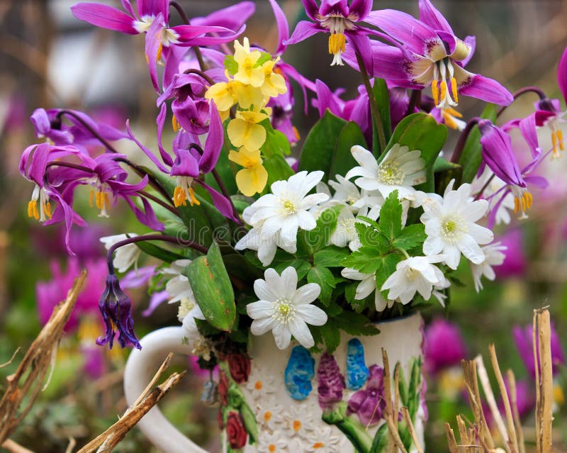 Spring Wild Flowers in Spring in the Forests of Siberia Stock Image ...