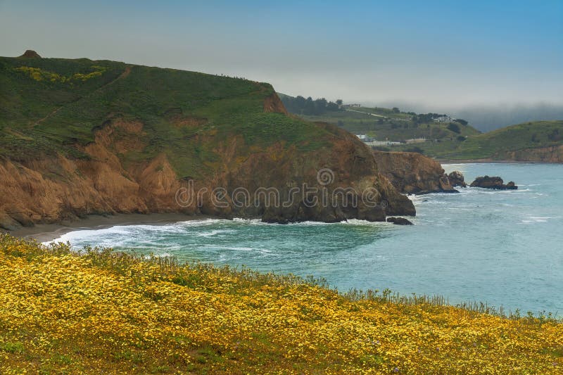 Spring Wildflower Display. Mori Point, Pacifica, California Stock Photo ...
