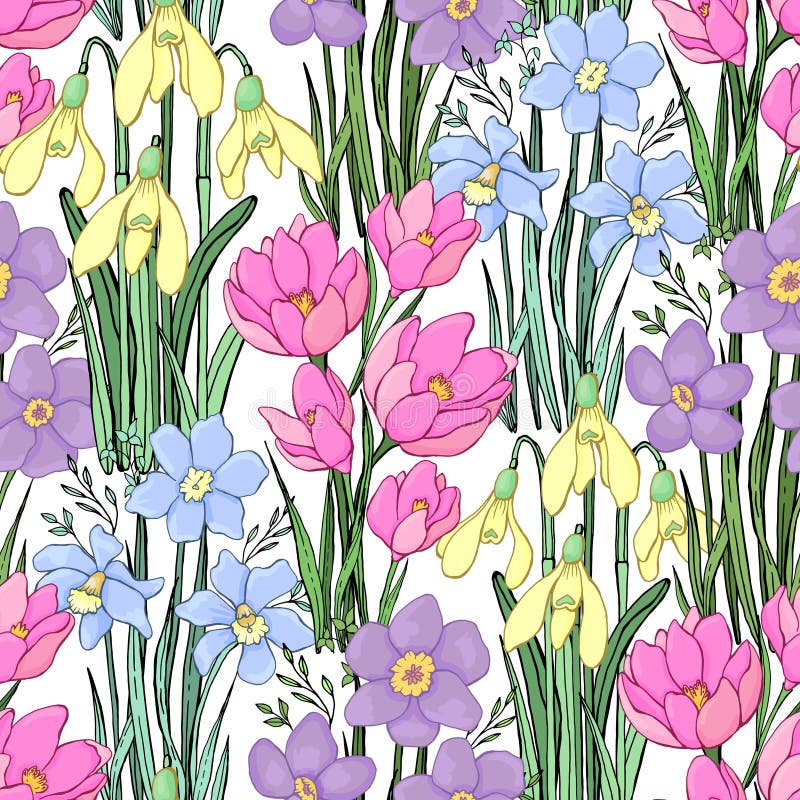 Spring Wildflowers. Isolated Vector Seamless Pattern Stock Vector ...