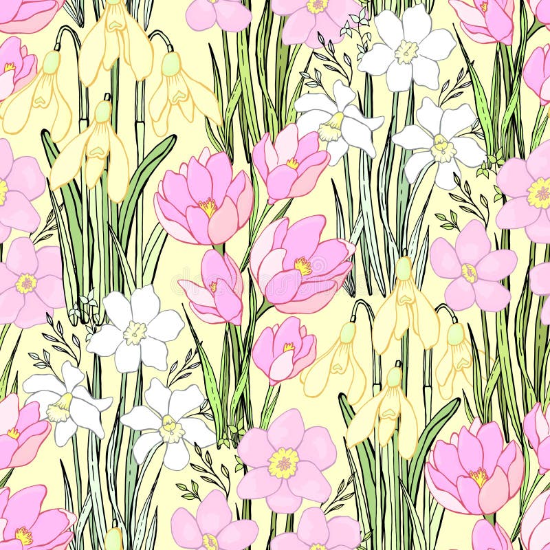 Spring Wildflowers. Isolated Vector Seamless Pattern Stock Vector ...