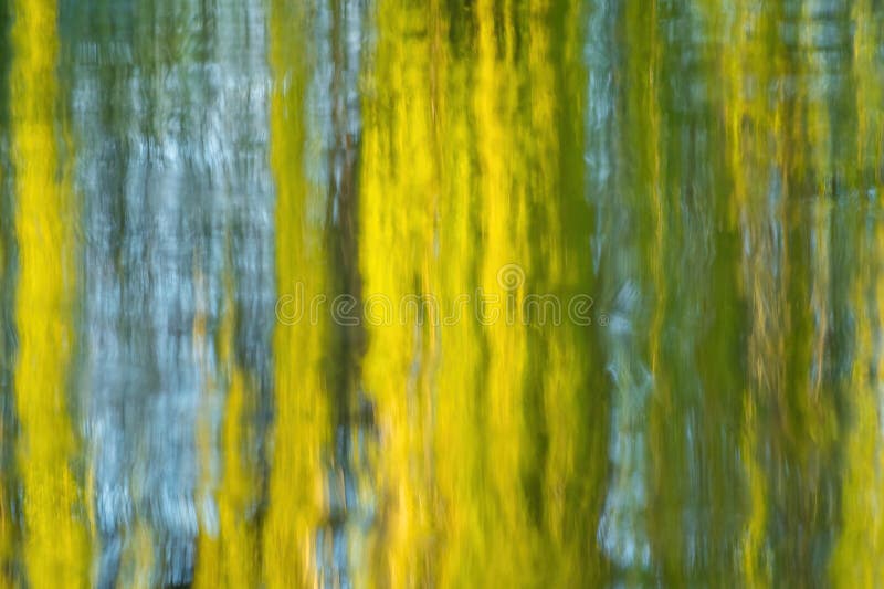 Spring Willow Reflection on Pond Stock Photo - Image of nature ...