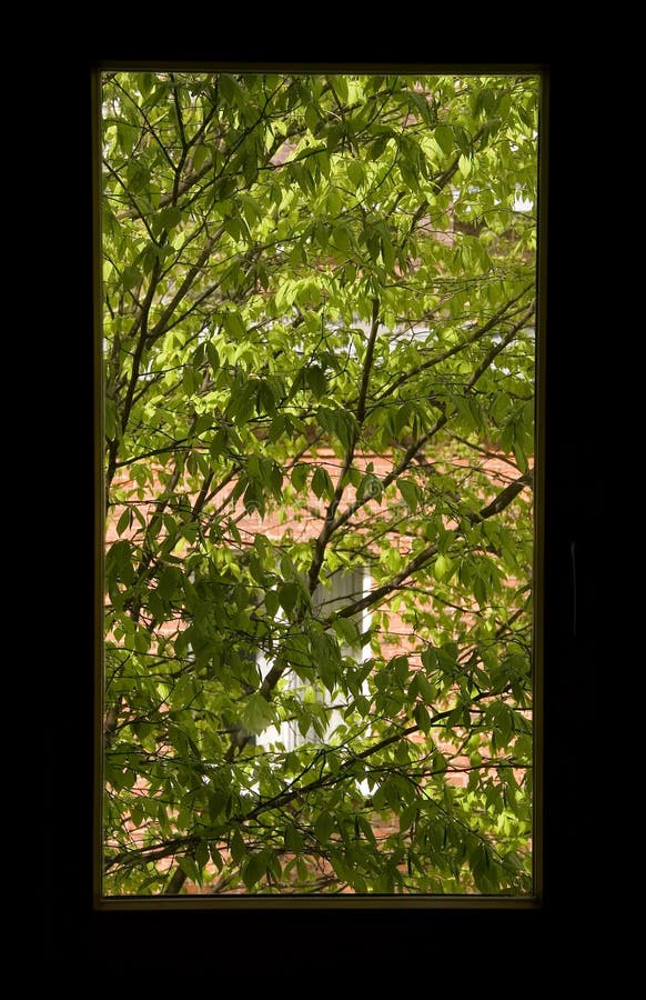 Window scenic stock image. Image of looking, mountain, opening - 663669