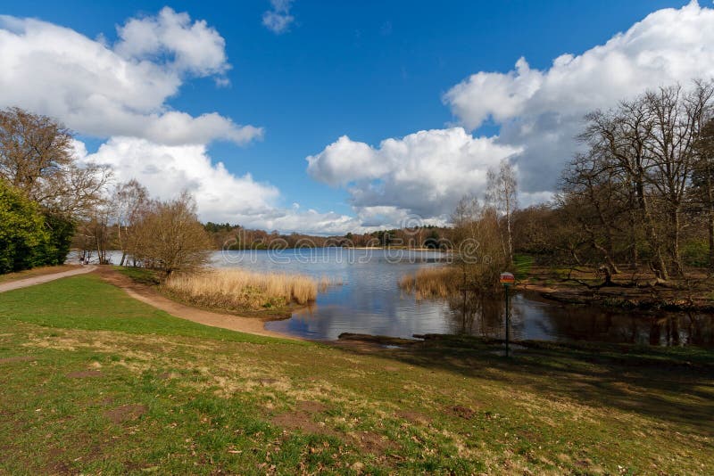 Spring in Windsor Park stock image. Image of lake, ascot - 39923733