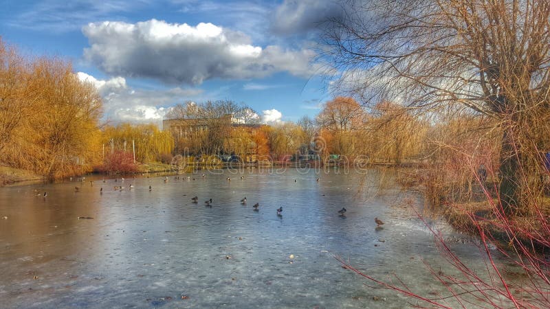 Spring in winter stock photo. Image of winter, nature - 69619200