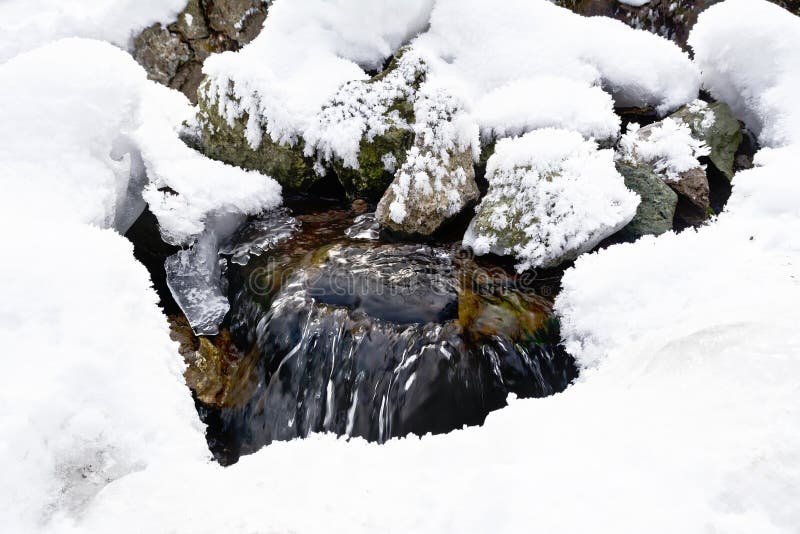 Spring in winter stock photo. Image of spring, clean - 310494006