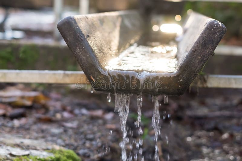 Spring with Wooden Channel. Close Up View on Clean Water Stream Stock ...