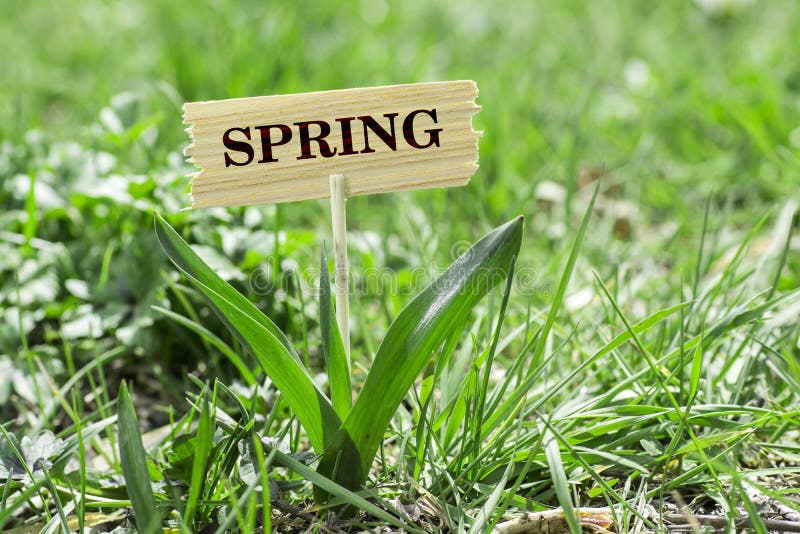 Spring wooden sign stock photo. Image of offers, flowers - 113881432
