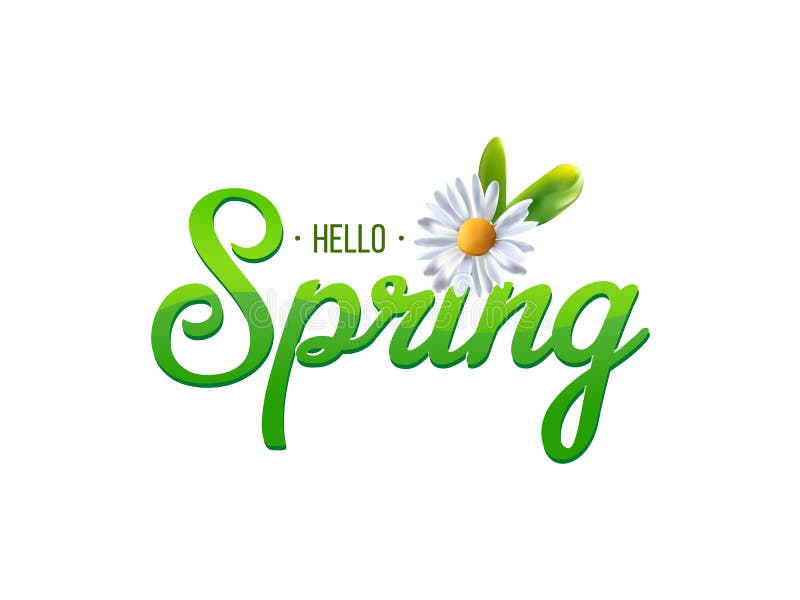 Spring word with chamomile stock vector. Illustration of natural - 86582064