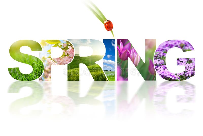 Spring word collage stock illustration. Illustration of green - 38316726