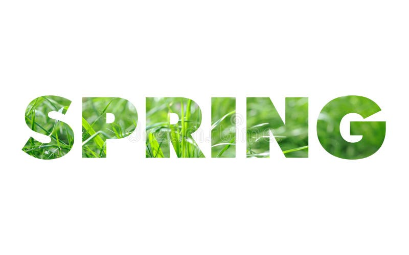 Spring word concept stock illustration. Illustration of nature - 89045455