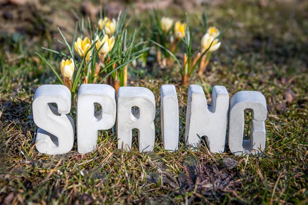 Spring Word with Flowers and Fresh Green Grass in Bloom Stock Image ...