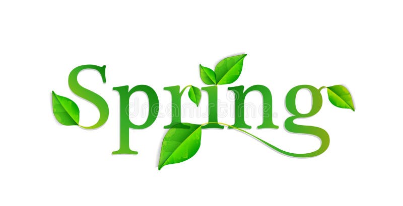 Spring Word Paper Cut With Flowers, Leaves & Butterflies Stock Vector ...