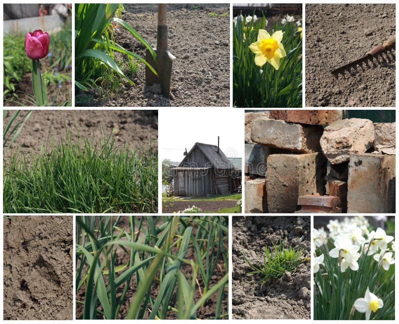 Spring work collage stock photo. Image of development - 9440068