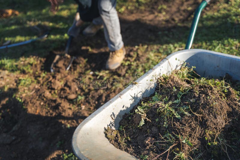 Spring Work in the Garden, a Pile of Soil with Weeds in a Garden Cart ...