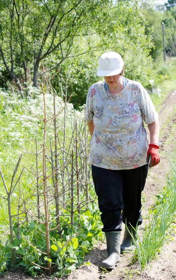 Spring work stock photo. Image of land, farmer, cucumber - 31126548