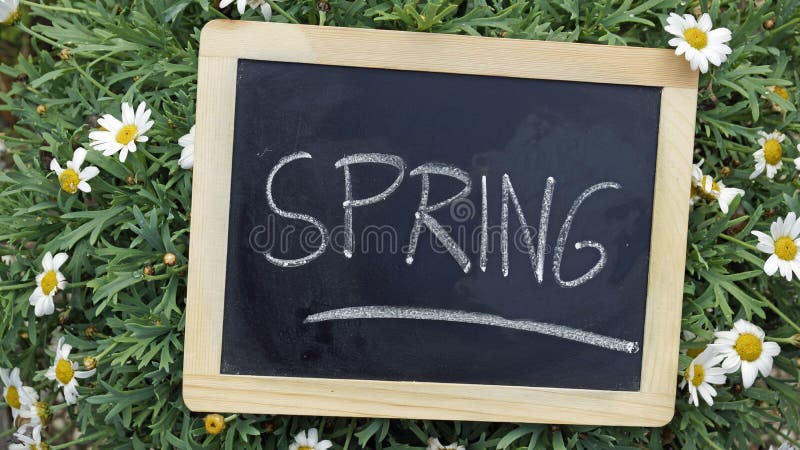 Spring written stock image. Image of flower, conceptual - 40087821