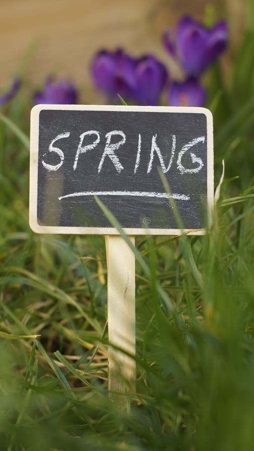 Spring written stock image. Image of flower, conceptual - 40087821