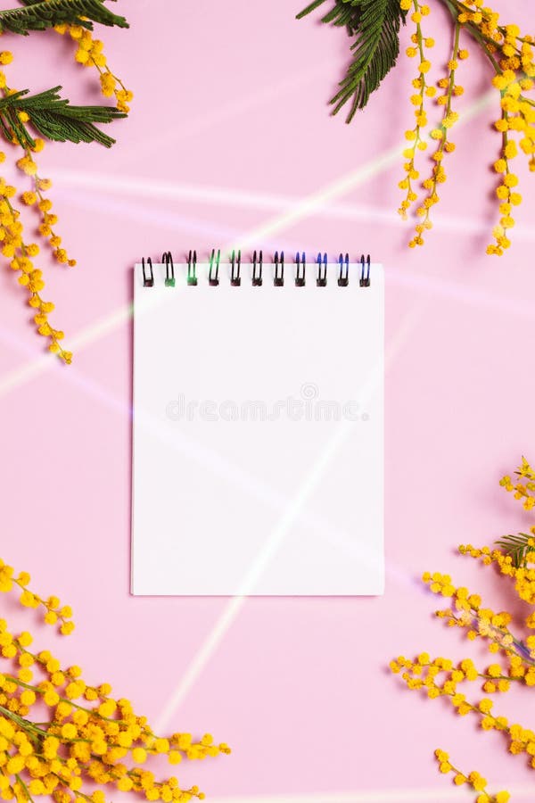 Spring Yellow Flowers and Empty Notepad on Trendy Background Stock ...
