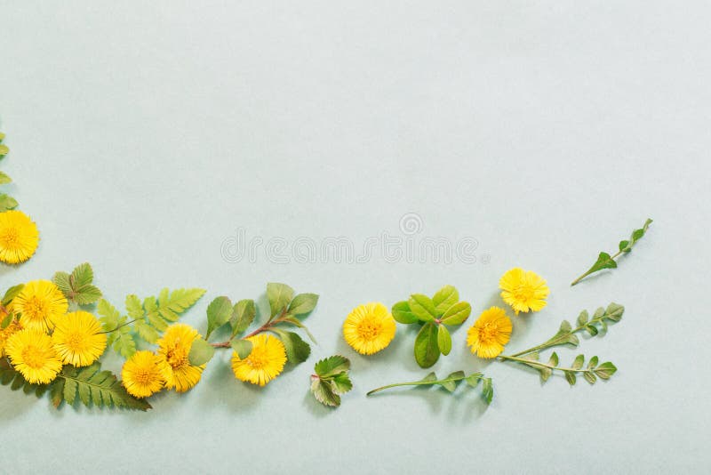 The Spring Yellow Flowers on Paper Background Stock Image - Image of ...
