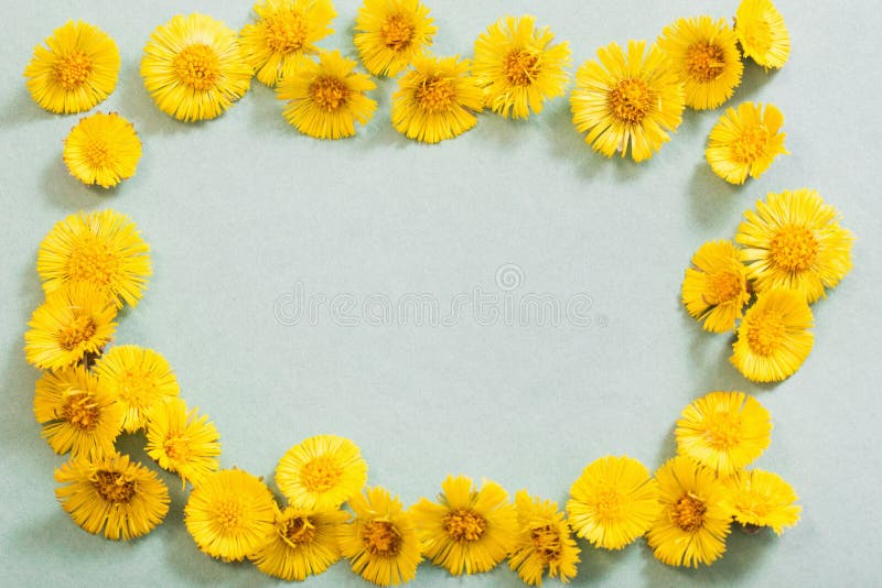 The Spring Yellow Flowers on Paper Background Stock Photo - Image of ...