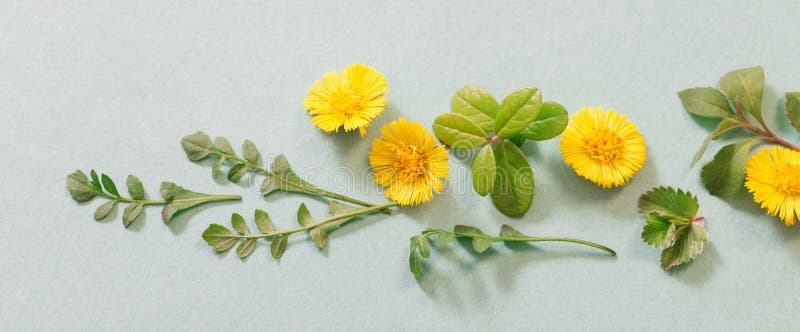 The Spring Yellow Flowers on Paper Background Stock Image - Image of ...