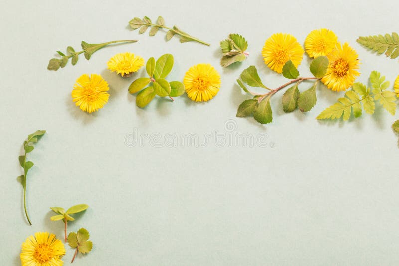The Spring Yellow Flowers on Paper Background Stock Image - Image of ...