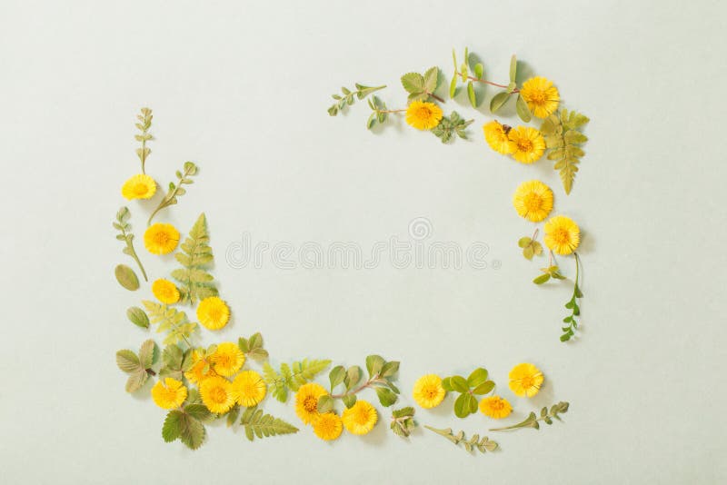The Spring Yellow Flowers on Paper Background Stock Image - Image of ...