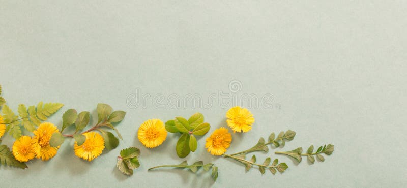 The Spring Yellow Flowers on Paper Background Stock Photo - Image of ...