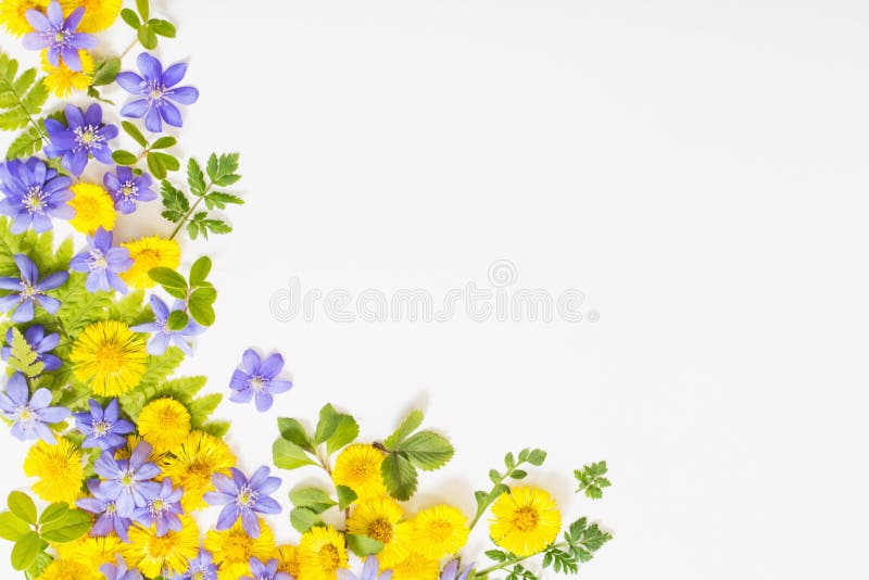 The Spring Yellow and Violet Flowers on Paper Background Stock Photo ...
