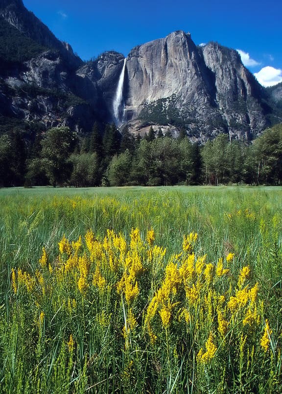 Spring into Yosemite stock image. Image of ground, rock - 120519