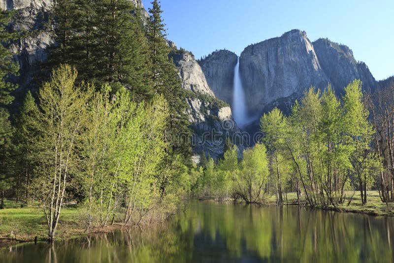 Spring in Yosemite Valley stock image. Image of cliff - 19721967